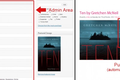 Book Information Display Example - Nose Graze Shop